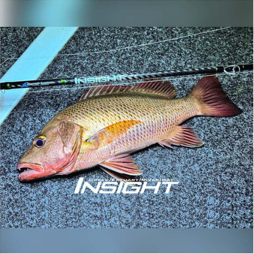 Ocean’s Legacy Insight Baitcaster Rod – Black Pete